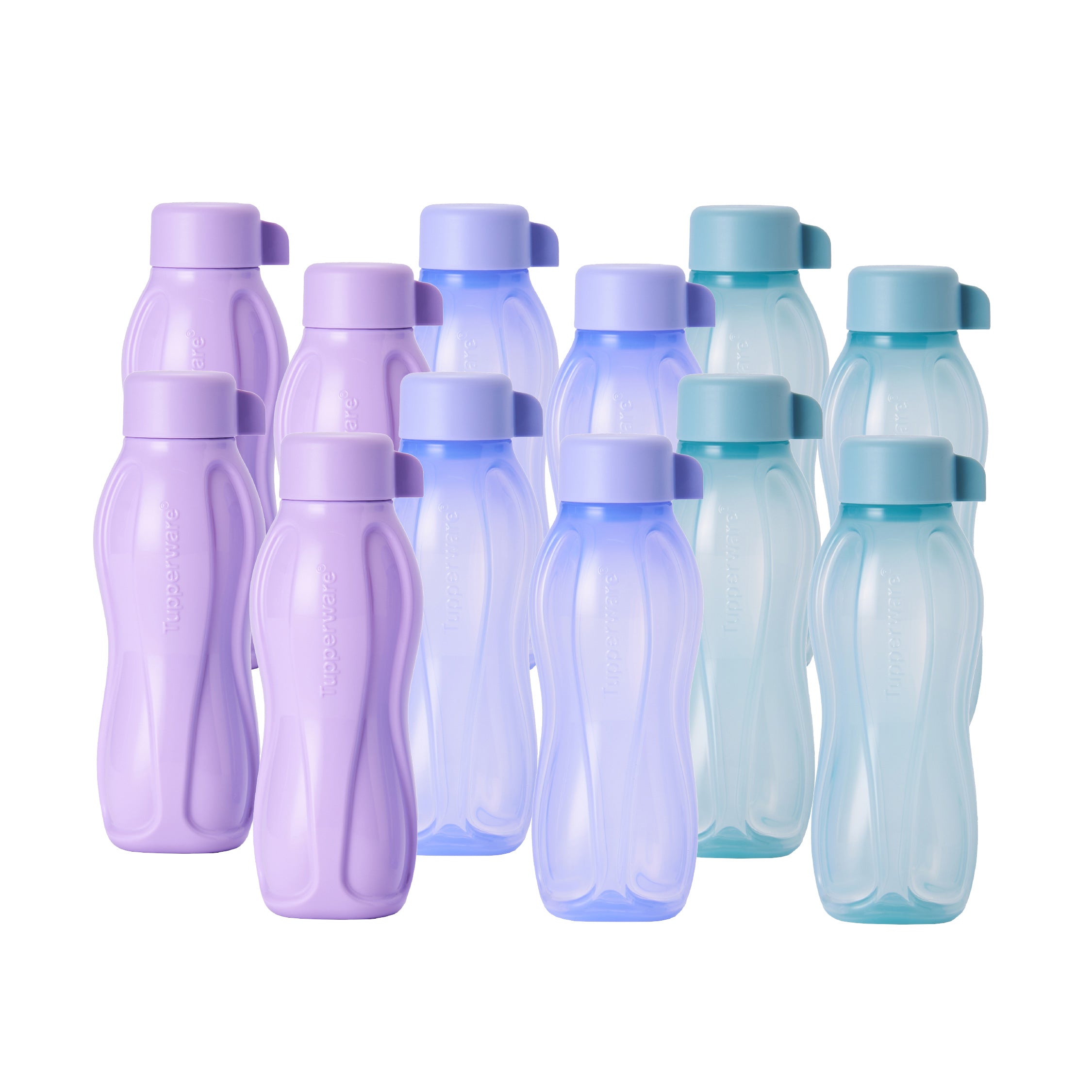 Eco Bottle | 12pcs | 310ml – (PM Store) Tupperware Brands Malaysia Sdn ...
