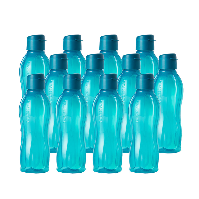 Eco Bottle with EDD Cap | 12pcs | 750ml – (PM Store) Tupperware Brands ...