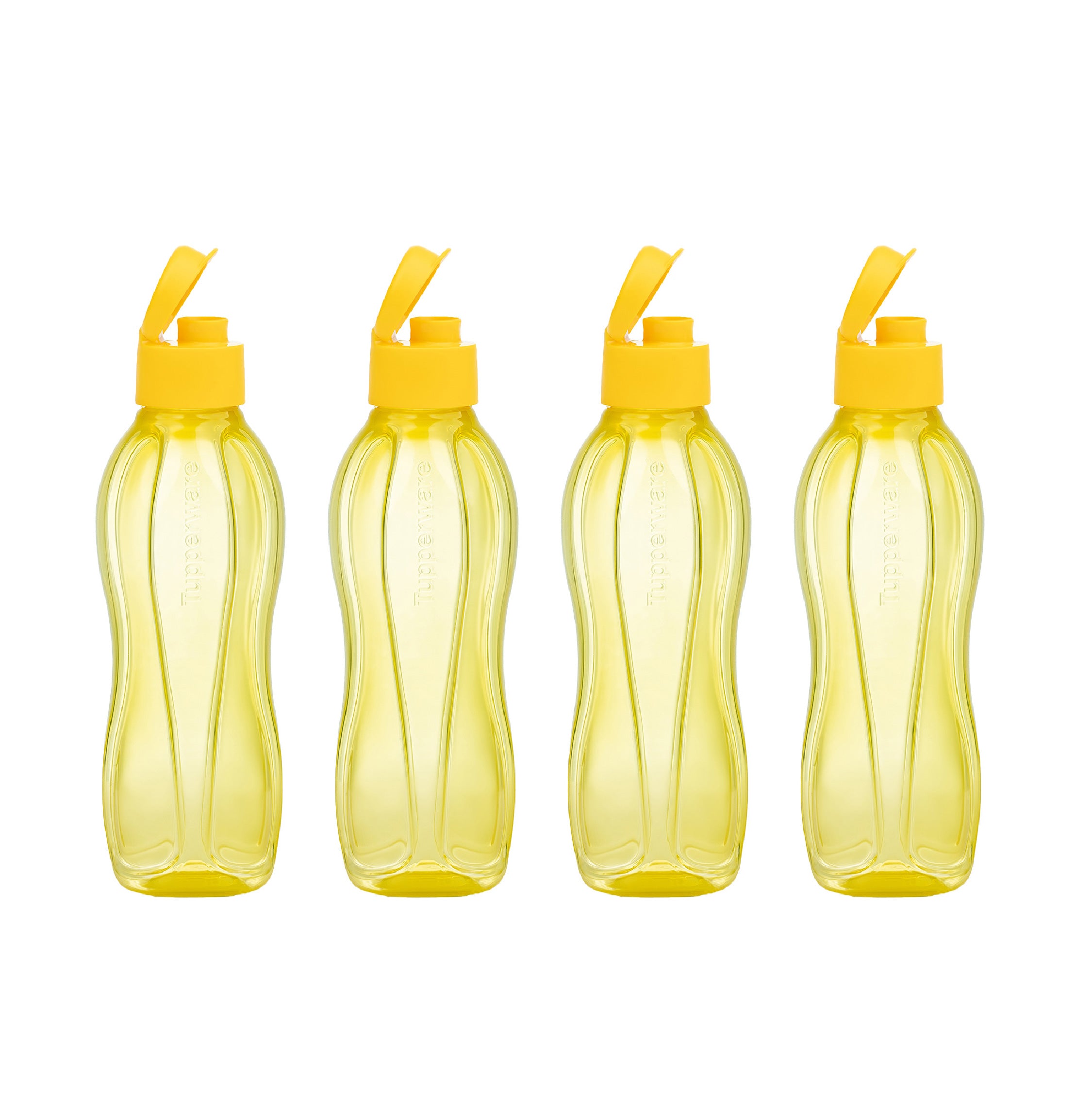 Eco Bottle with EDD Cap | 4pcs | 750ml – (PM Store) Tupperware Brands ...