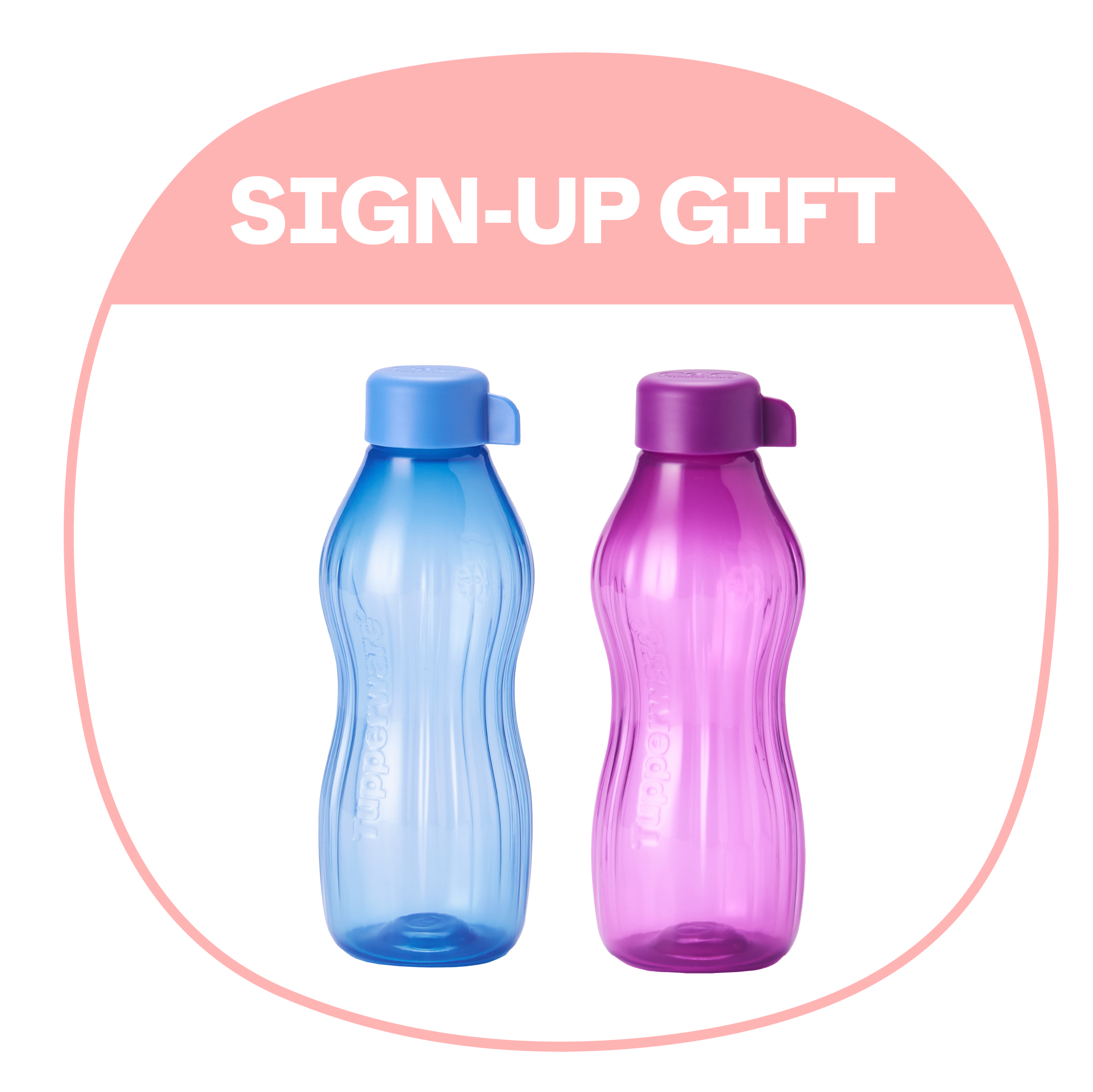 Sign Up Gift: June Sign Up Gift – (PM Store) Tupperware Brands Malaysia ...